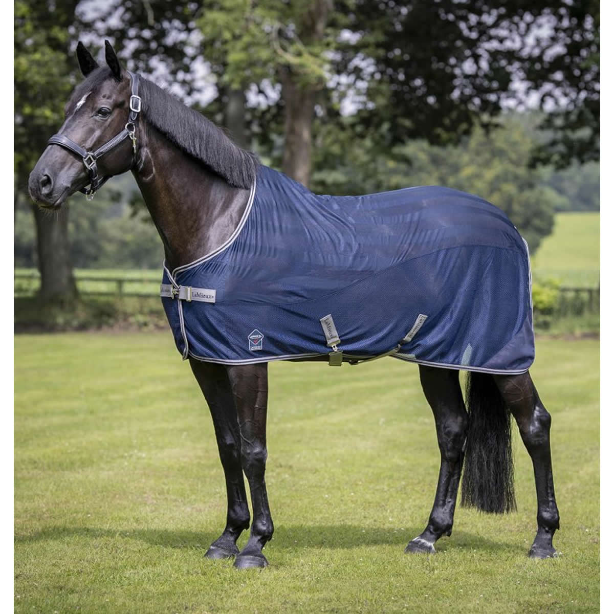 LeMieux アリカ エアテック メッシュ シート 馬着